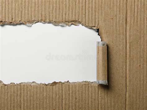 Torn Cardboard Texture With White Ripped Edges Stock Image Image Of Paper Sheet 302707633