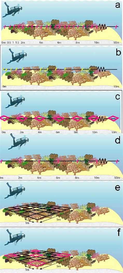 Figure 1 From Evaluating Benthic Survey Techniques For Validating Maps