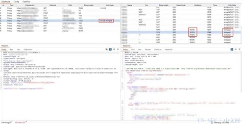 Burp插件 高效sql注入检测，提高测试效率 Cn Sec 中文网