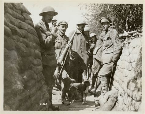 Ww1 Canadian Trenches Trenches Tunnels Of Fear Wookie Warriors