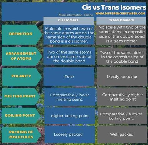 Diferencia Entre Los Isómeros Cis Y Trans Prodiffs