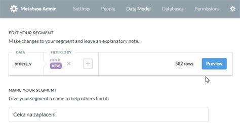 Admin Data Model Segment Preview Not Working · Issue 8369