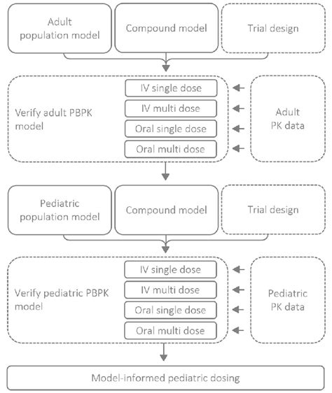 Workflow Of Pragmatic Pediatric Pbpk Modeling Drug Specific