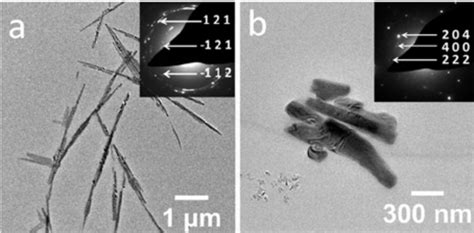 Tem Images Selected Area Electron Diffraction Patterns And Raman Download Scientific Diagram