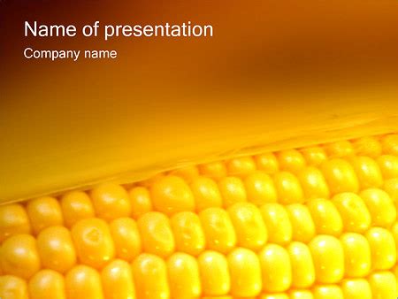 Corn PowerPoint Template Backgrounds Google Slides ID 0000001502 SmileTemplates Com