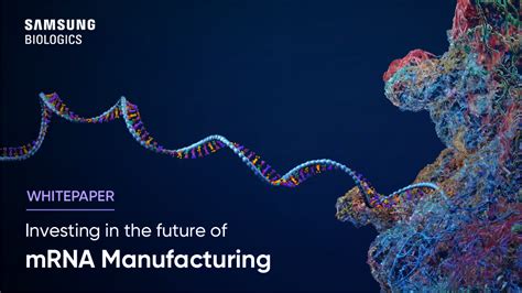 Investing In The Future Of Mrna Manufacturing