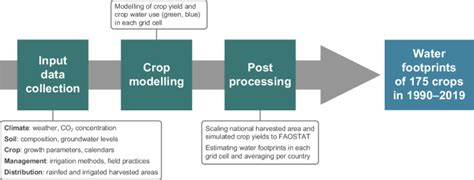 使用全球作物模型模拟 1990 2019 年 175 种作物的水足迹和作物用水量scientific Data X Mol
