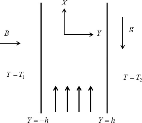 Exploration Of The Dynamics Of Non Newtonian Casson Fluid Subject To