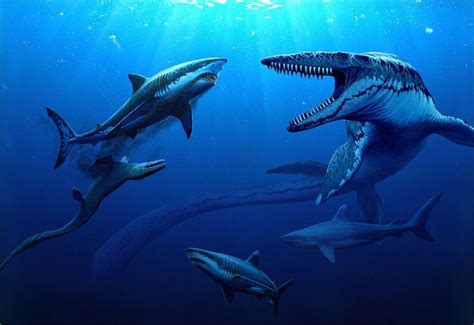 Mirko Kosmos Megalodon Vs Mosasaurus