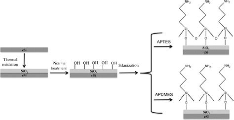 Figure 1 From Optical Characterization Of Aminosilane Modified Silicon