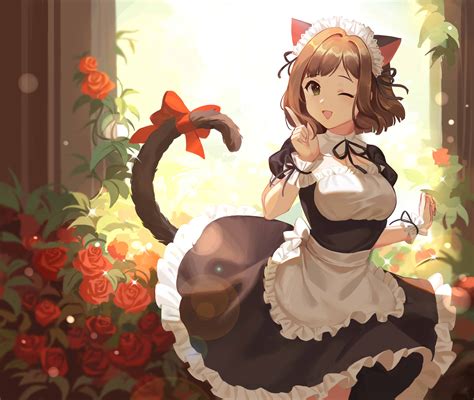 Cat Maid Anime Girl Wallpaper