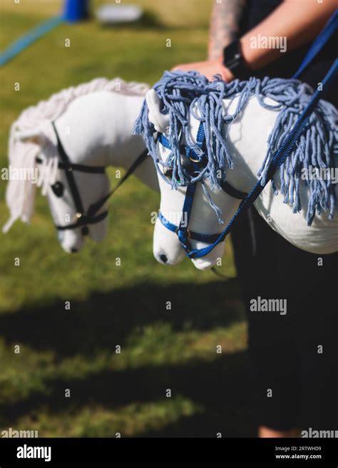 Hobby Horses Finland 2025 Finnish Hobbyhorse Championships 2025 Qkwd
