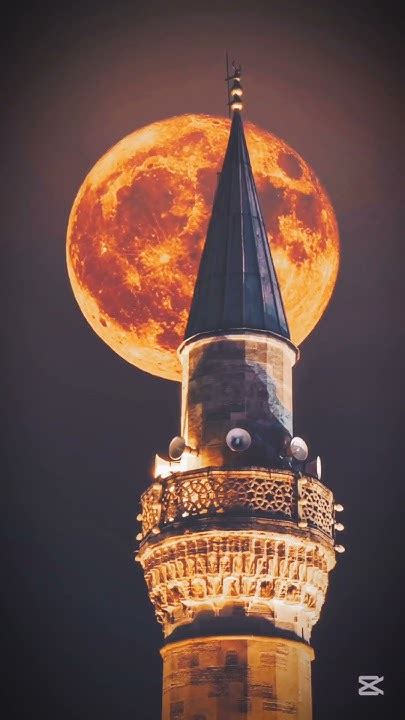 Quranalkarim Quran Islamic Islamicstatus Viarlshort Youtube