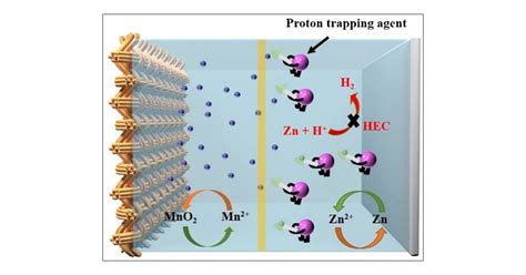 Proton Trapping Agent For Mitigating Hydrogen Evolution Corrosion Of Zn For An Electrolytic Mno2