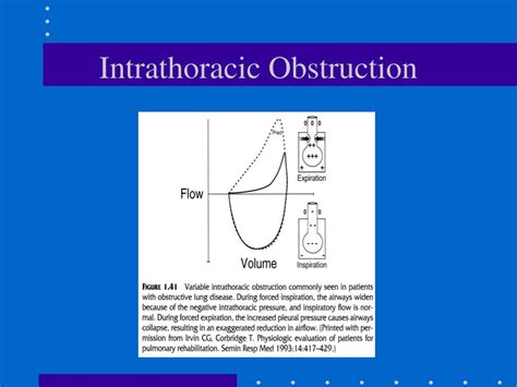 Ppt Pulmonary Function Testing Powerpoint Presentation Free Download Id 4484548