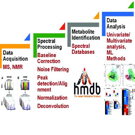 The Metabolomics Experiment The Flowchart Comprises Sample Download Scientific Diagram