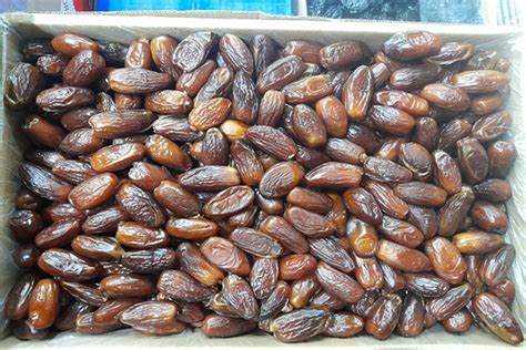 آرشیدا محصولات آرشیدا