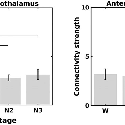 Stage‐dependent Functional Network Maps Showing Connectivity Between Download Scientific