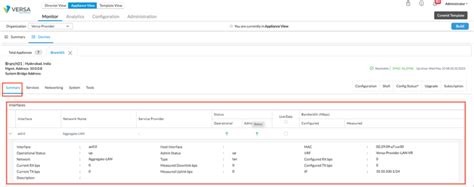 Deploying Sd Wan Sites With Aggregate Ethernet Lan Interfaces Academy Versa Networks