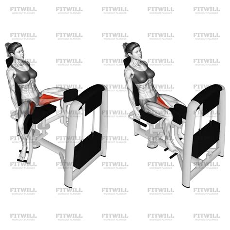 Lever Seated Hip Adduction Exercise Guide Video Techniques Benefits