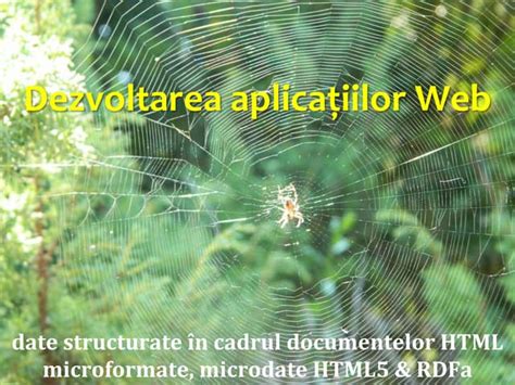 Dezvoltarea Aplicațiilor Web Supliment Modelarea Datelor în Html