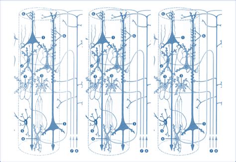 Eeg Methods Archives Sapien Labs Shaping The Future Of Mind Health