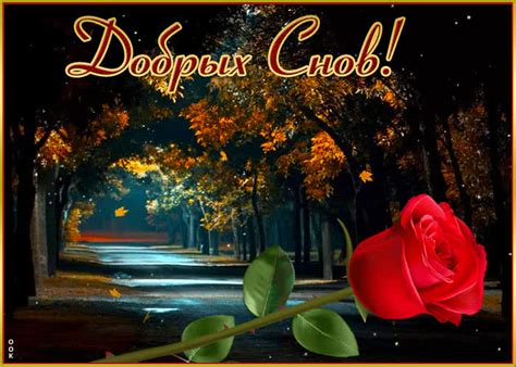 Вдохновляющая анимационная открытка Добрых снов Скачать бесплатно на