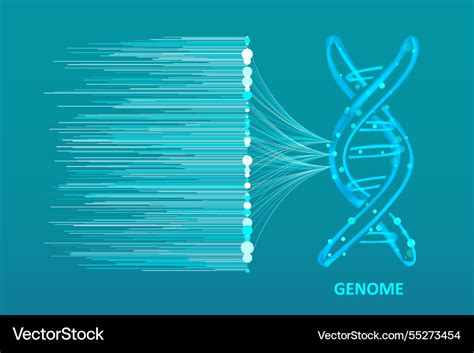 Big Genomic Data Visualization Royalty Free Vector Image