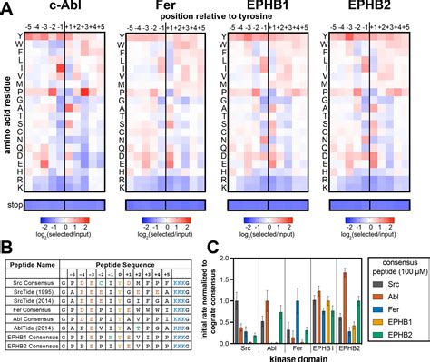 high throughput profiling of sequence recognition by tyrosine kinases