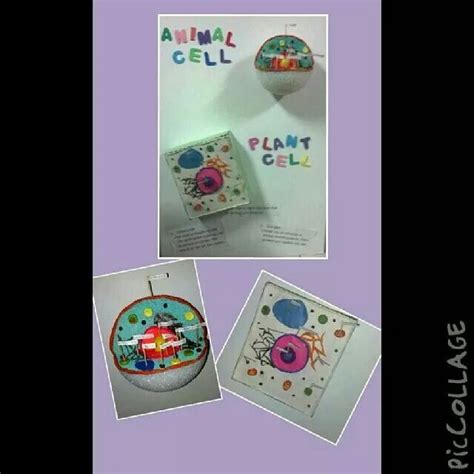 Animal Cell Science Project