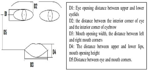 Computed Distances Extracted From Facial Characteristic Points