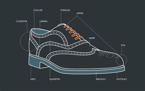 Anatomy Of A Shoe Oliver Sweeney Fashion Illustration Shoes Shoe Design Sketches Healthy Shoes