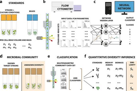 How To Perform Microbiome Profiling By Flow Cytometry Genspark
