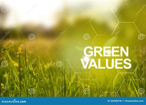 Green Value Chain Safe Environment Concept Stock Image Image Of