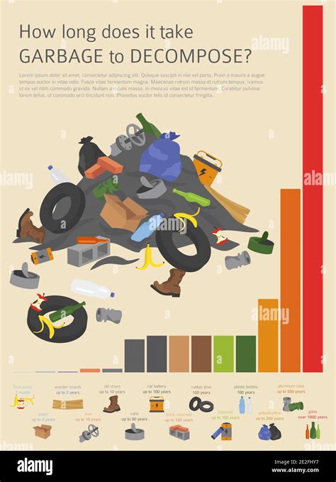 Global Environmental Problems Land Pollution Garbage Dump Infographic Vector Illustration