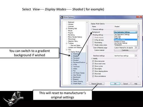 intro document on rhino pdf