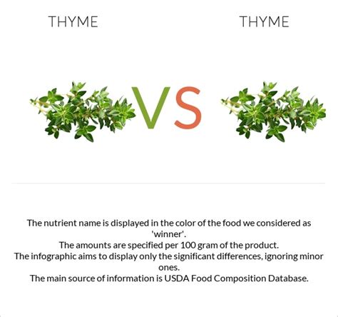 Thyme Vs Thyme In Depth Nutrition Comparison