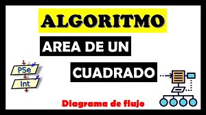 Algoritmo Para Calcular El Area De Un Cuadrado