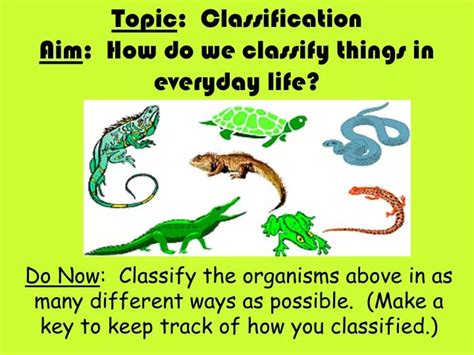 Ppt Topic Classification Aim How Do We Classify Things In