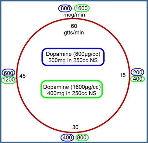Dopamine Clock