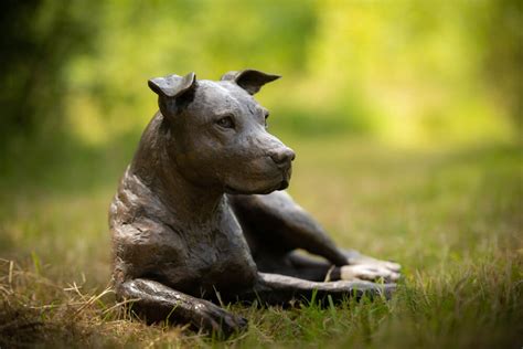 Lying American Staffordshire Bull Terrier Sculpture Tanya Russell