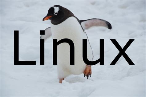 The New Stack On Linkedin Linux Kernel 612 Is Official Real Time App Support Better Scheduling