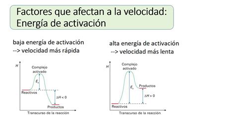 Los Factores De La Velocidad De Reacción Youtube