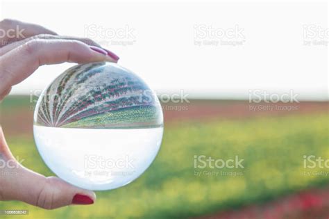 젊은 여 자가 손을 꽃밭의 필드에서 크리스탈 공을 들고 아침 태양 빛 여자와 수정 구슬 개념과 주제에 대한 스톡 사진 및 기타 이미지 개념과 주제 거꾸로 구름