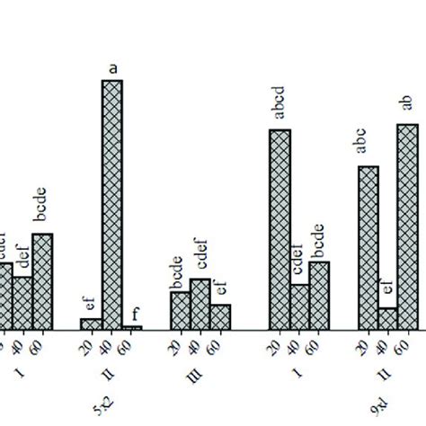 Typical Root System Of A Two Year Old Eucalyptus Camaldulensis Tree In Download Scientific