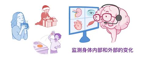 人体解剖学基础：中枢神经和周围神经 知乎