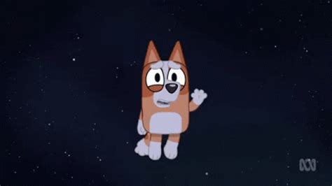 Bluey Bingo  Bluey Bingo Sad Discover And Share S