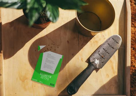 Leafy Plant Seeds Packaging Of The World