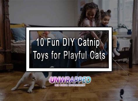 10 Fun Diy Catnip Toys For Playful Cats