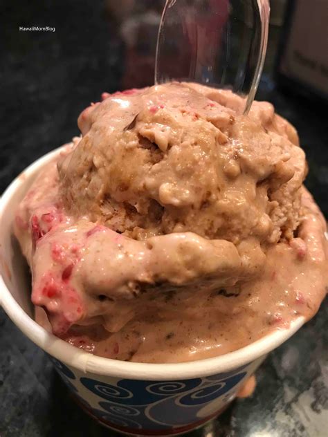 Hawaii Mom Blog Visit Indianapolis Sub Zero Ice Cream